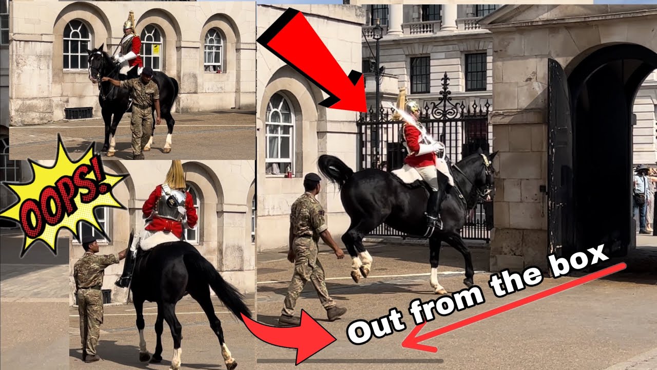 Frightened Horse Runs Out Of The Box! Soldier Does A Good Job ...