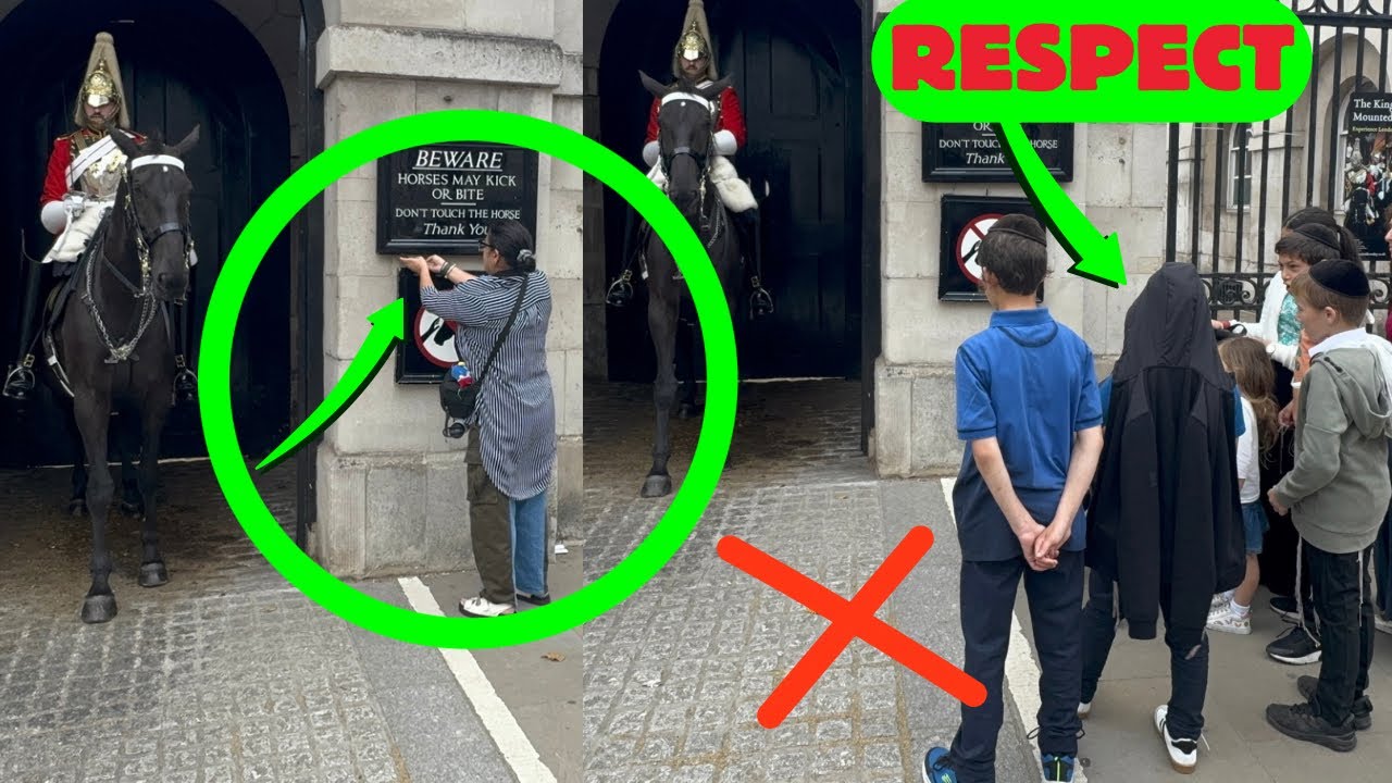 ZERO RESPECT at the Horse guards – Shocking Tourist Behavior Caught on Camera”